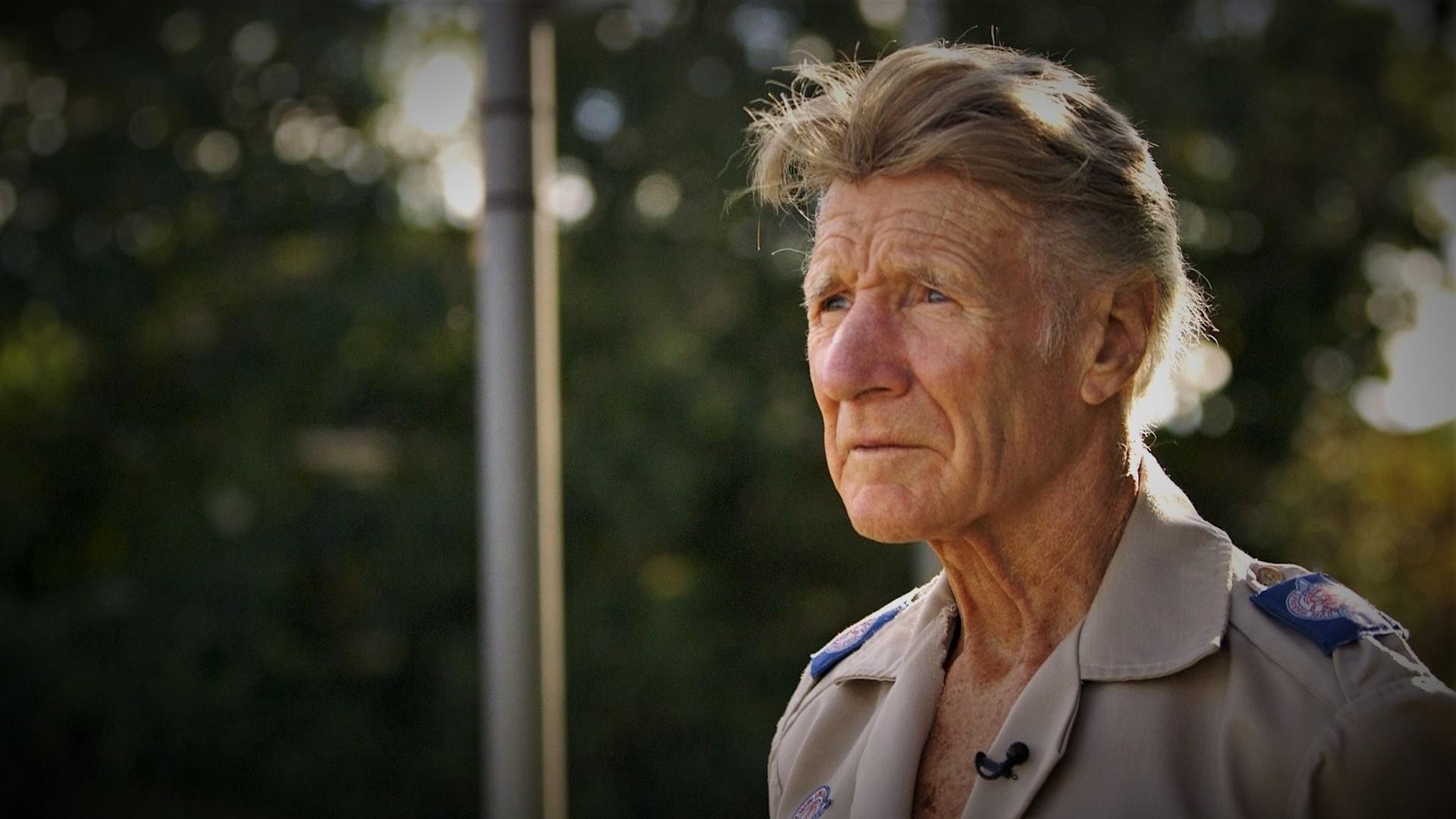 Home - Whirled Cinema