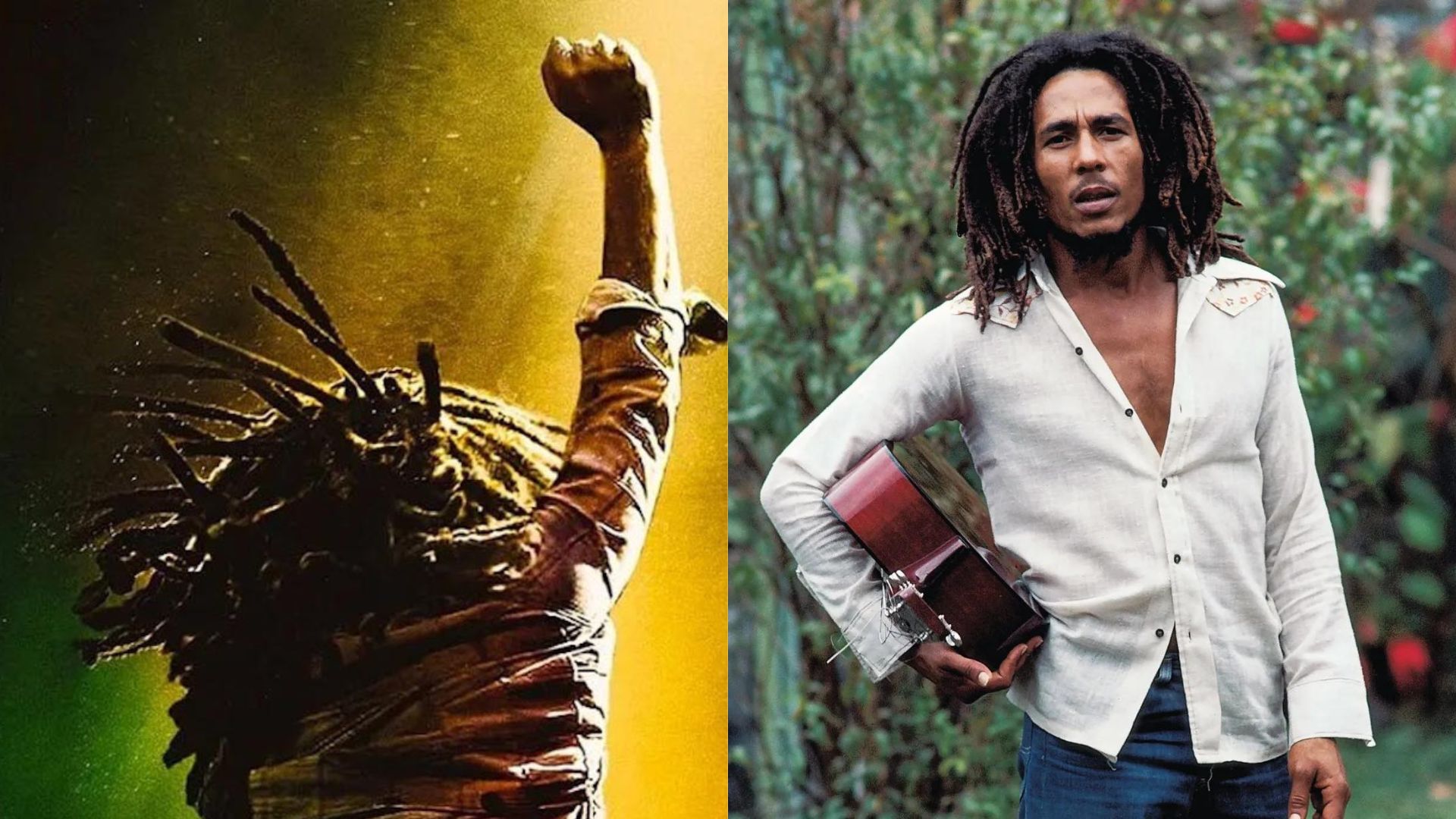 About us - Whirled Cinema